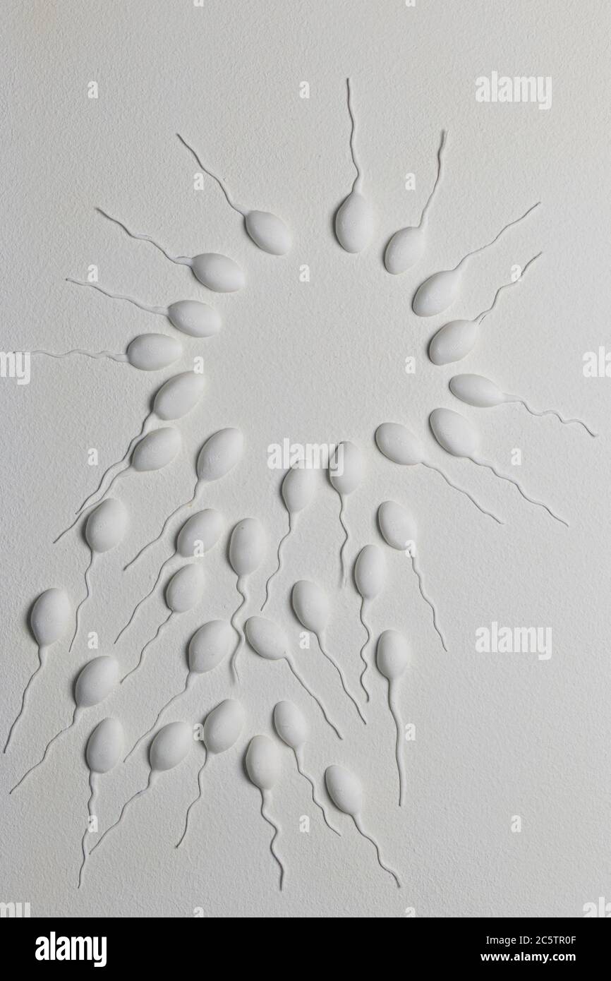 Human sperm, seman (Concept Stock Photo - Alamy