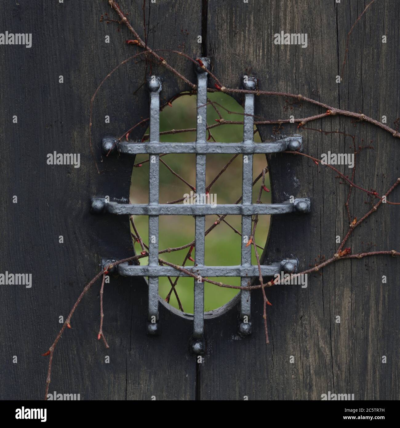 Door/Window with metal grid Stock Photo - Alamy