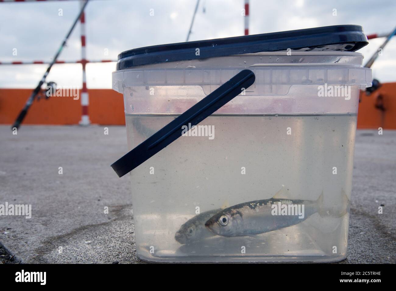 Recreational fishing in Gdynia, Poland. June 13th 2020 © Wojciech ...