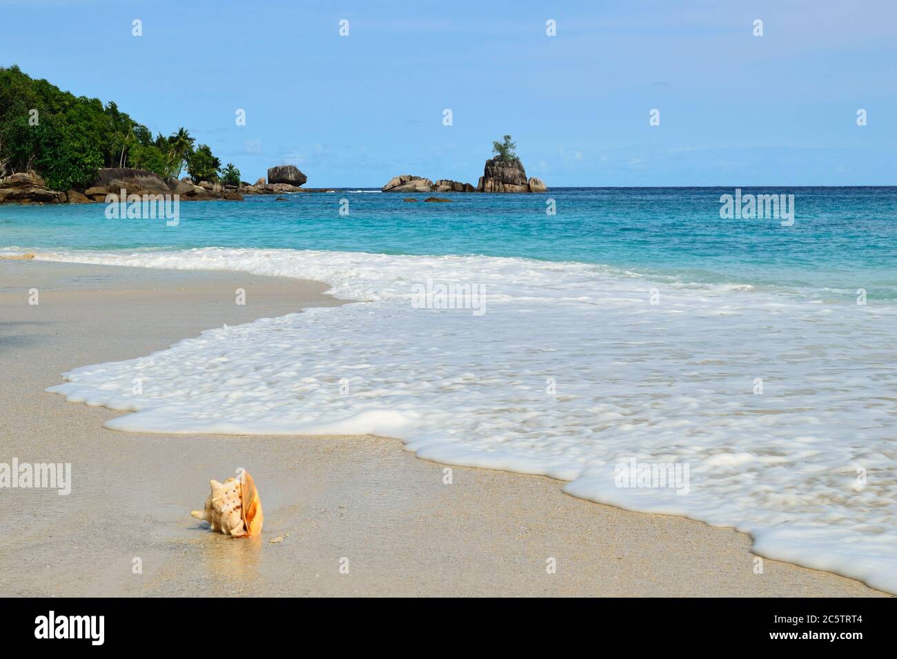 Beaches on Seychelles islands, Mahe, Anse Soleil. Big orange shell in ...