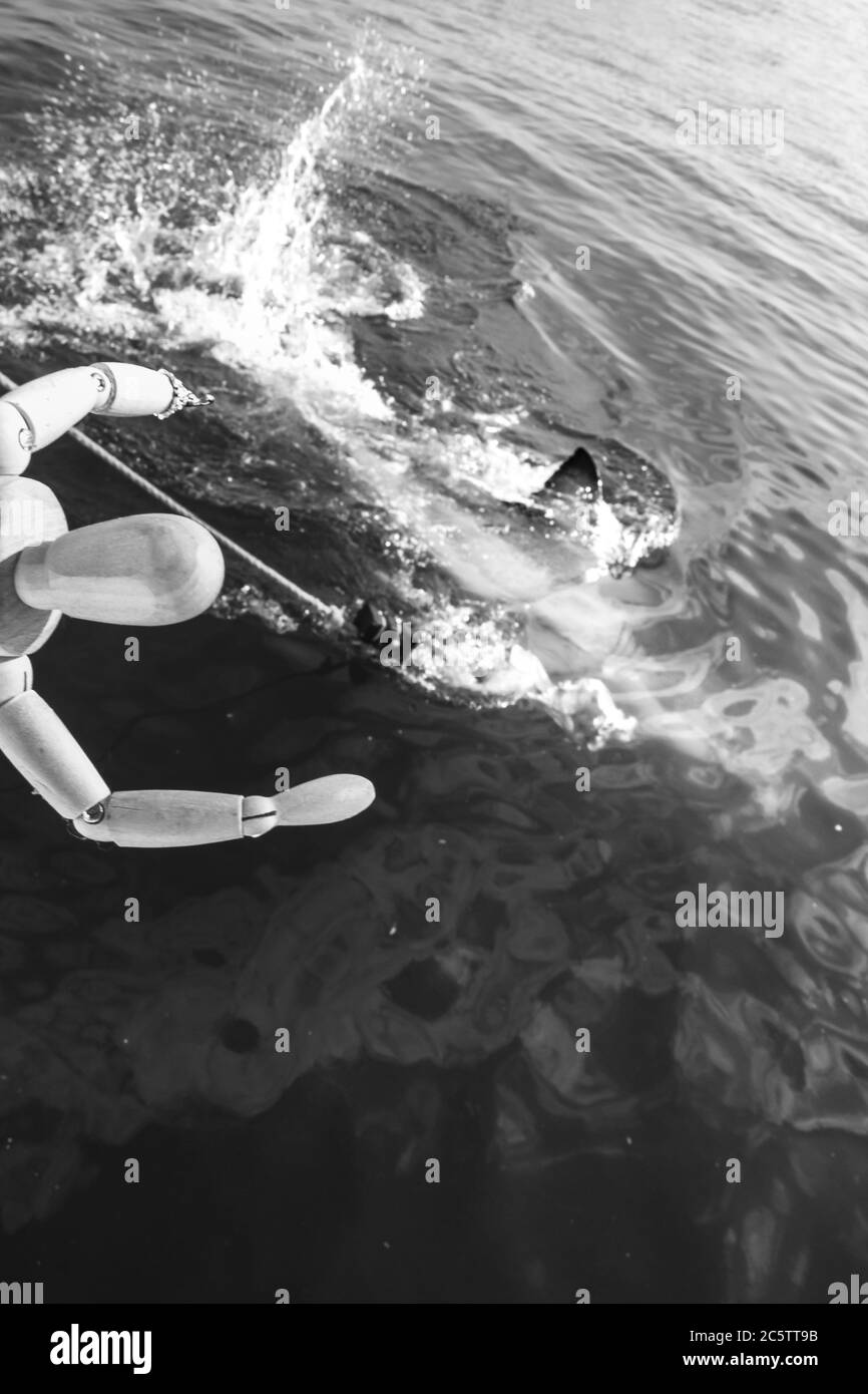 Swimming and posing Black and White Stock Photos & Images - Alamy
