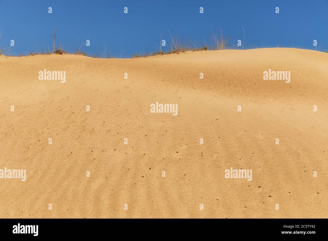 Dune bug hi-res stock photography and images - Alamy