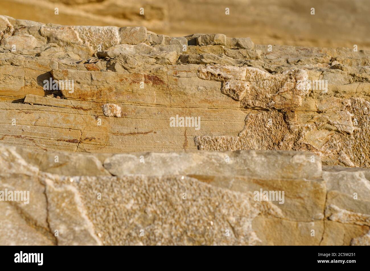 Surface of the rock with a texture of hardened shell rock. Designer ...