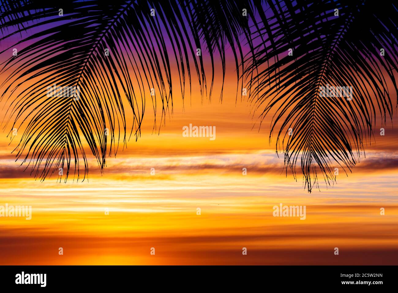 Orange dramatic sunset with palm trees Stock Photo - Alamy