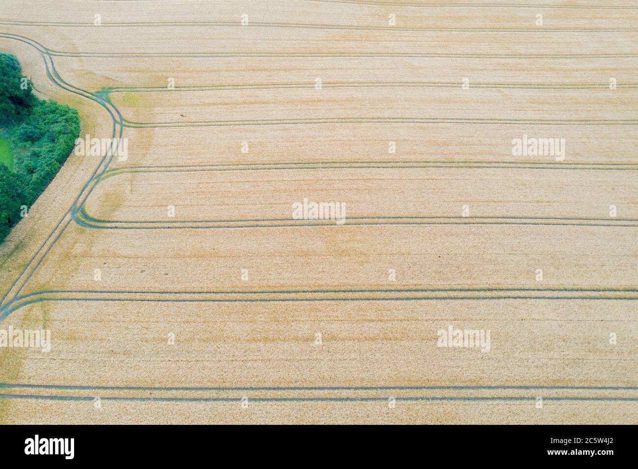 a drone photograph from a grain field shows parallel tractor tracks ...