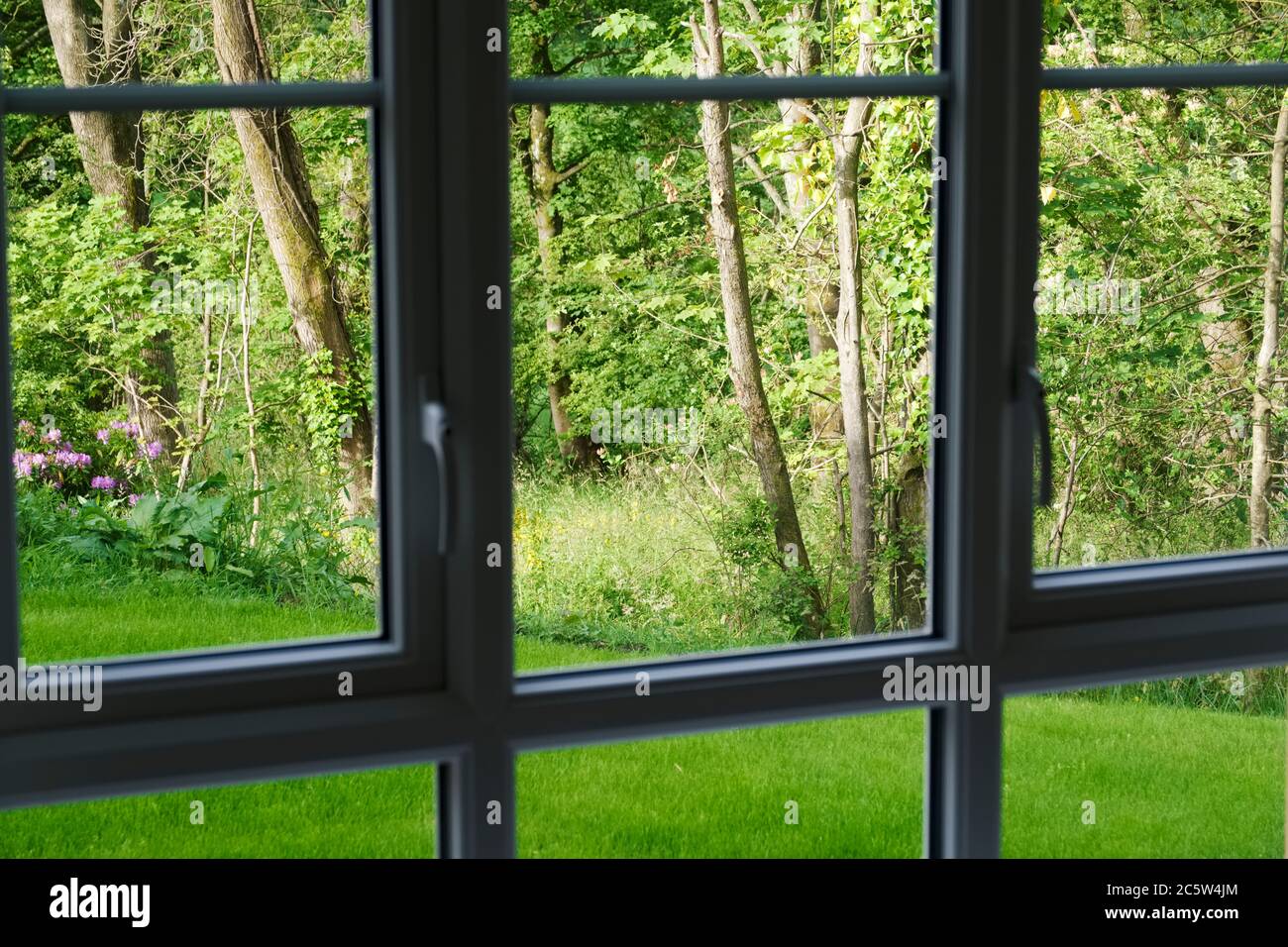 Summer view of green garden from inside house window Stock Photo - Alamy