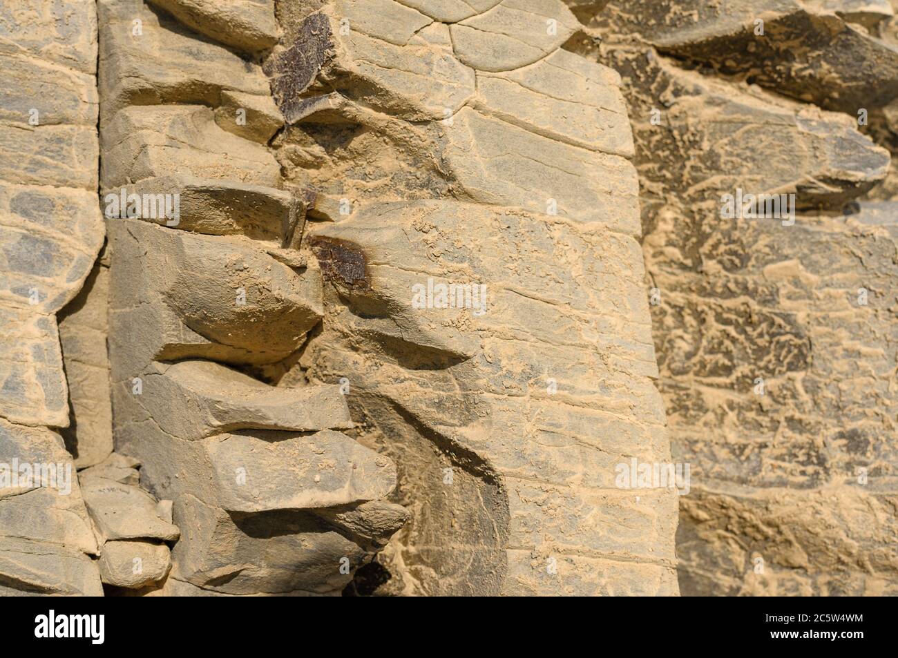 Texture of a yellow rock rock or background for design. Surface of the ...