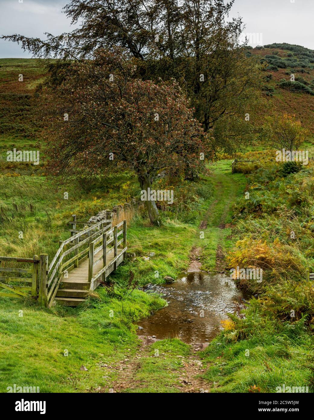 Wooler common hi-res stock photography and images - Alamy