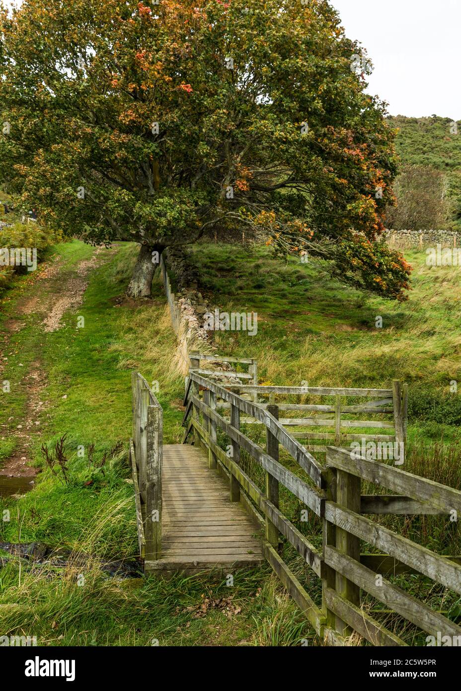Wooler Common High Resolution Stock Photography and Images - Alamy