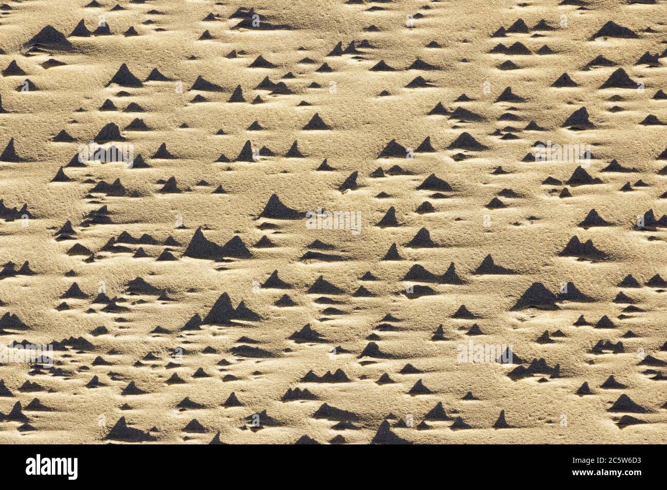 wind and water created sand texture on the seashore Stock Photo - Alamy
