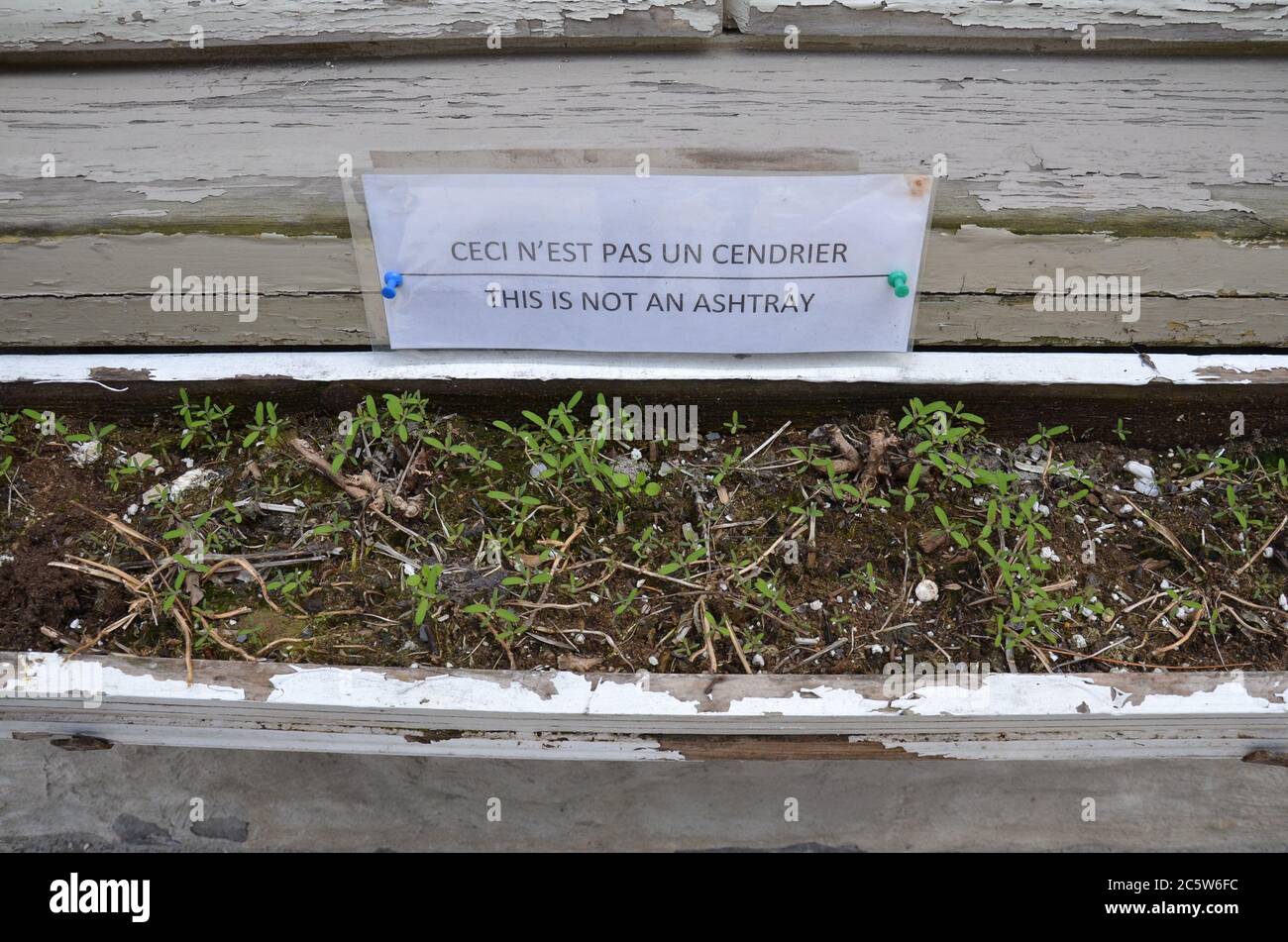 this is not an ashtray sign in french and english and flower box Stock ...