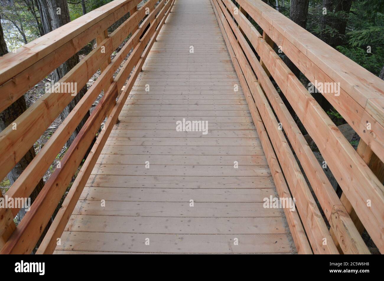 wooden path or trail or boardwalk with railing and trees Stock Photo ...