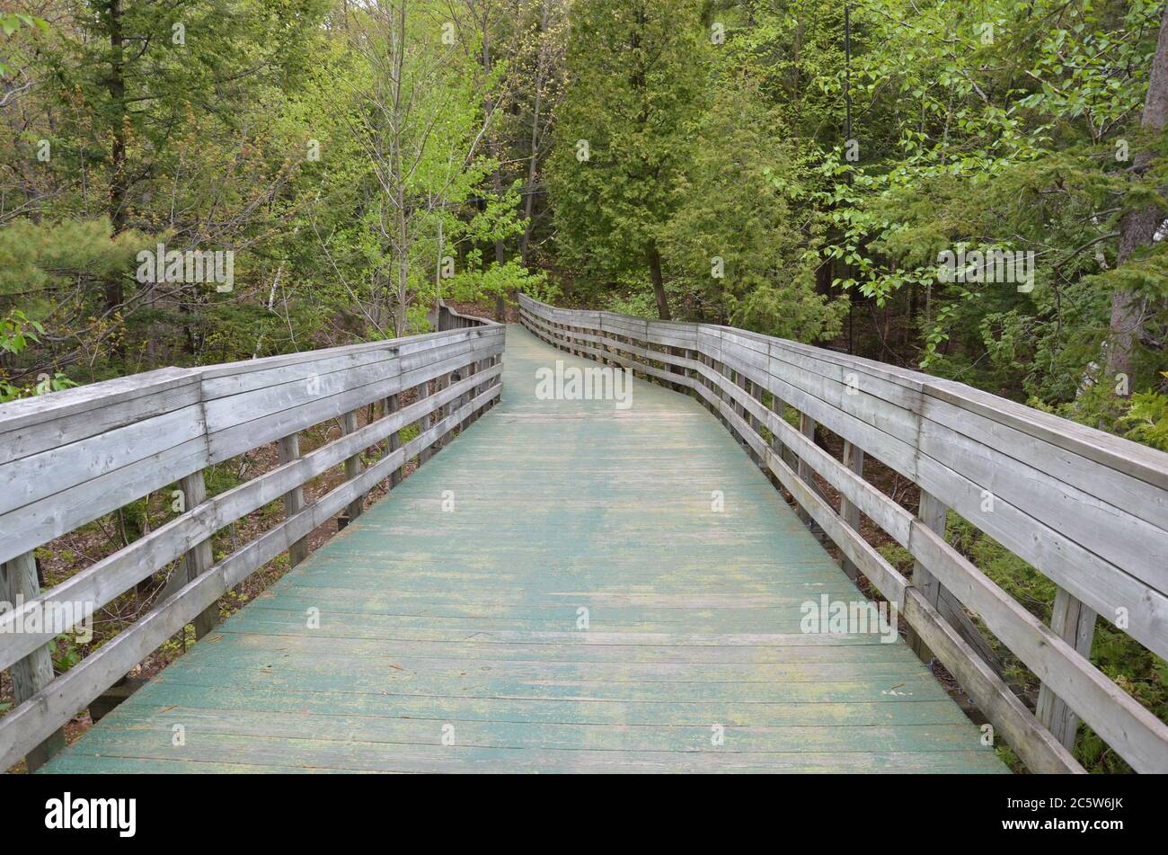 wooden path or trail or boardwalk with railing and trees Stock Photo ...
