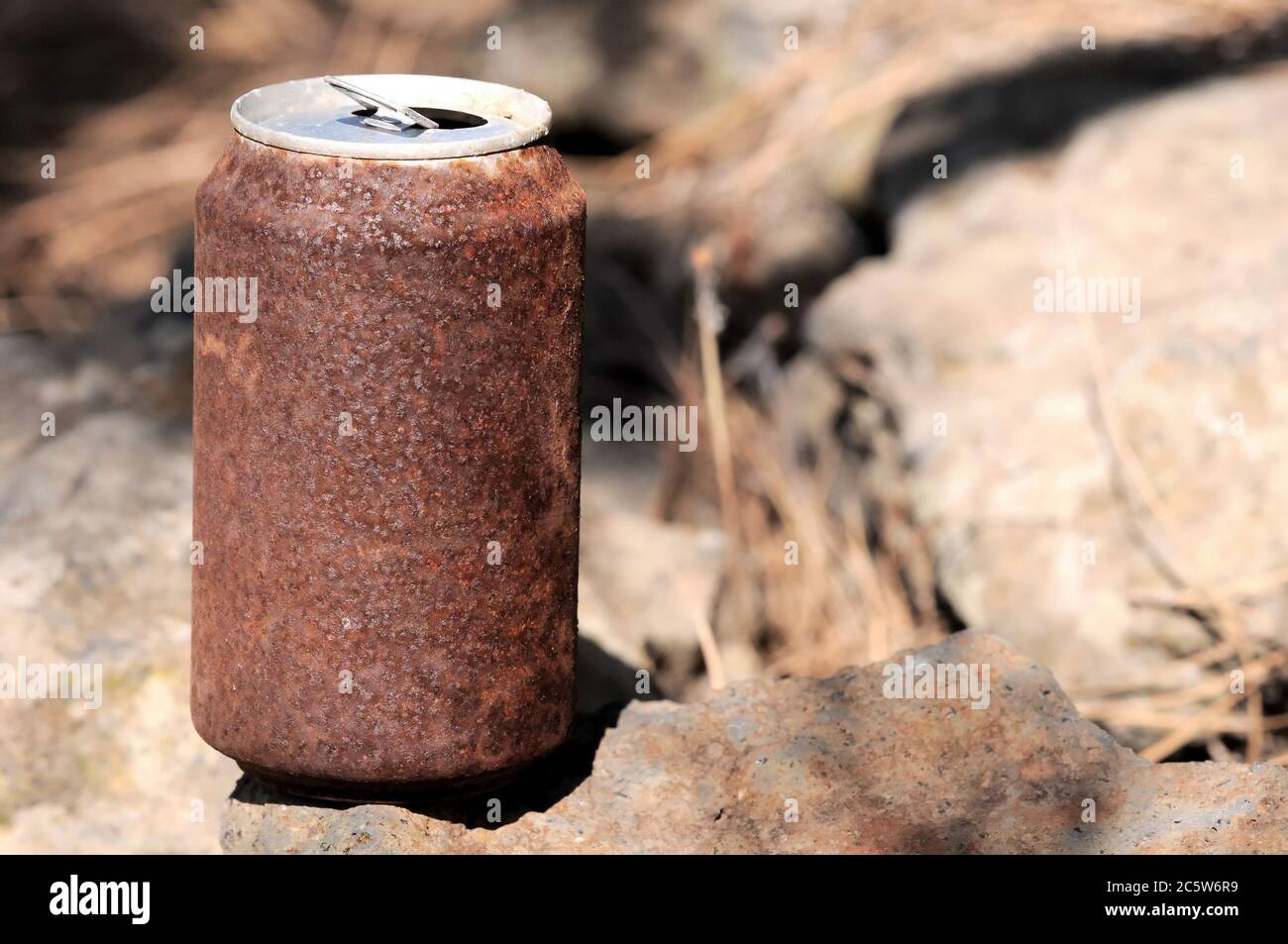 Old Rusty Can on the Floor into the Wild Stock Photo - Alamy