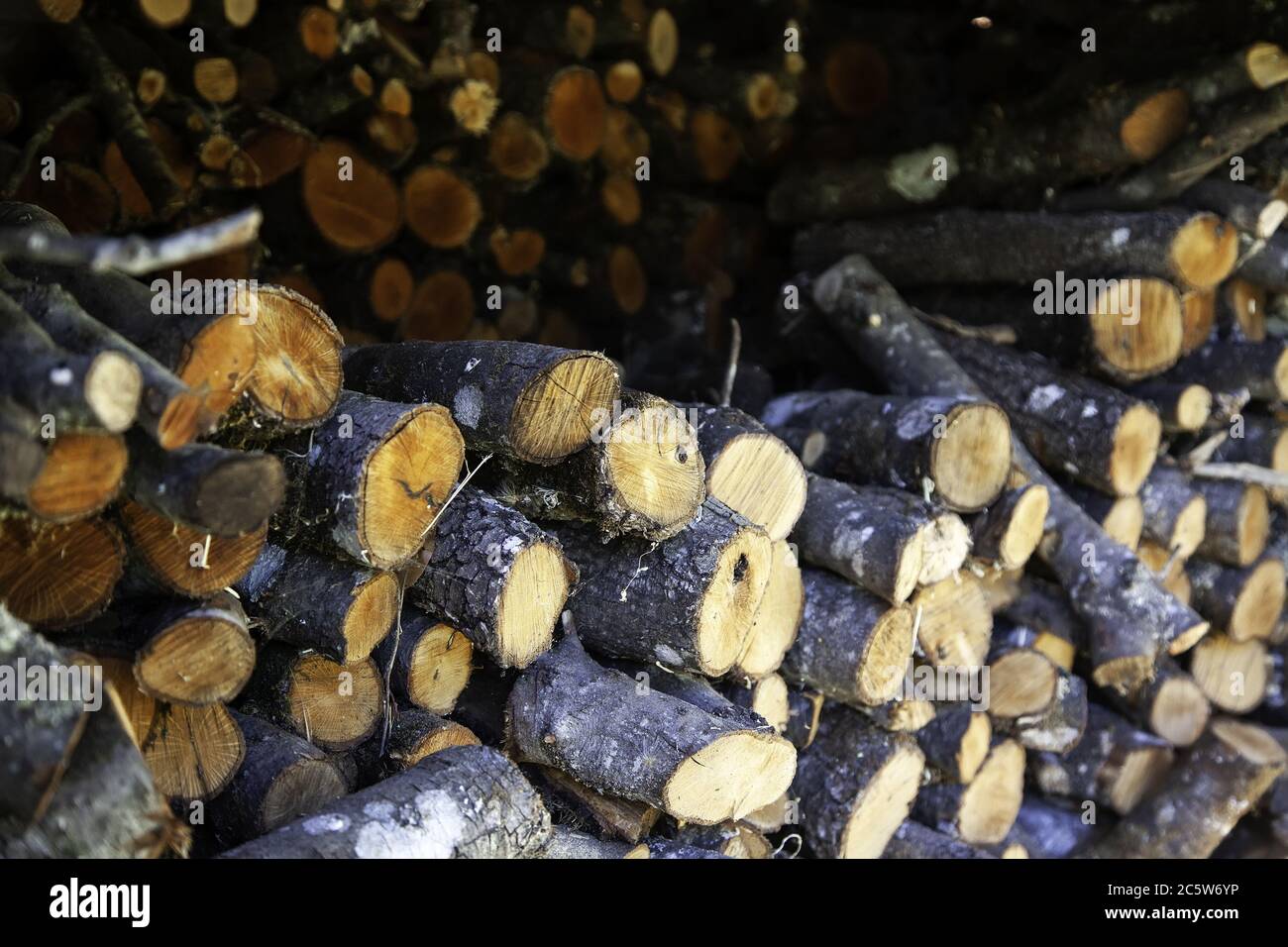 Wood logs for firewood, wood detail to burn, heat in winter Stock Photo ...