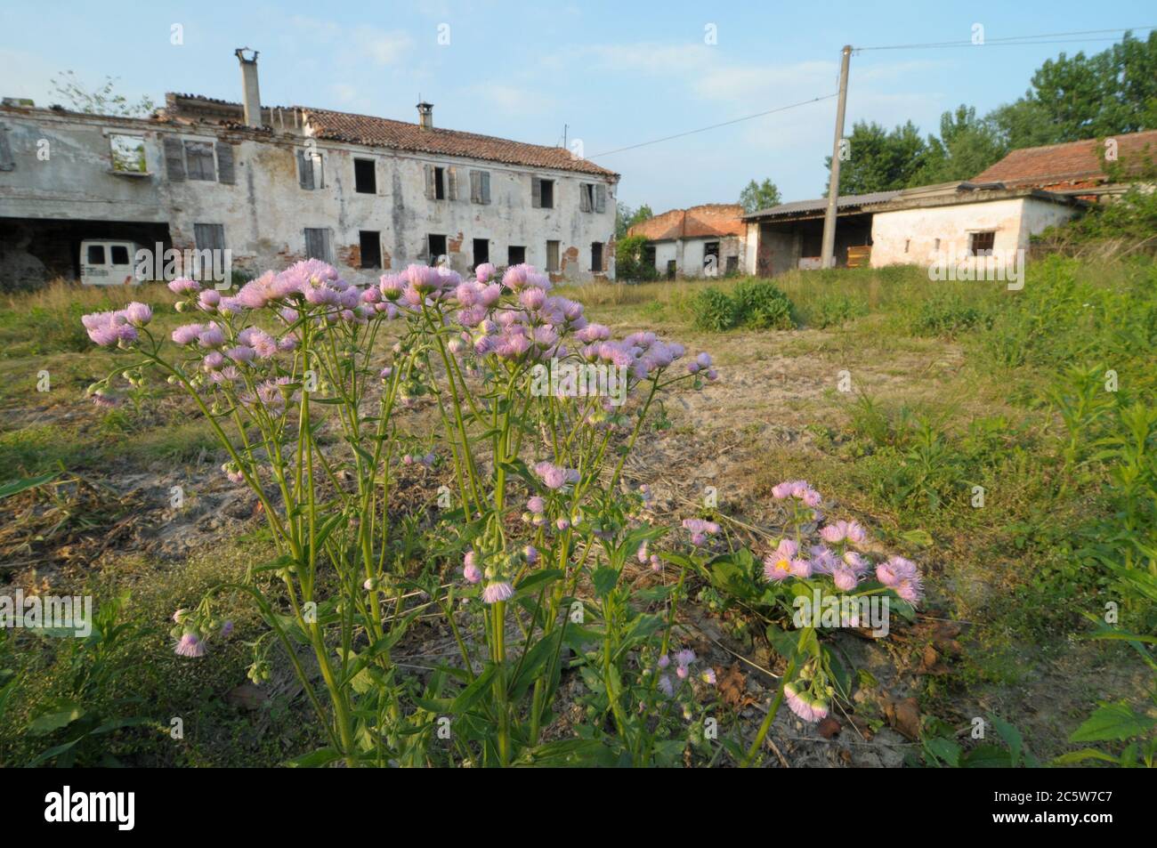 North italy farm house hi-res stock photography and images - Alamy