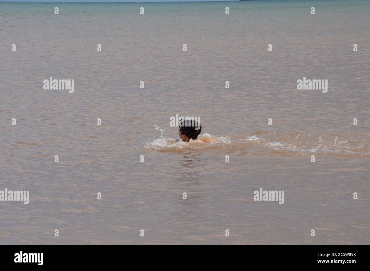 Haddock swimming hi-res stock photography and images - Alamy