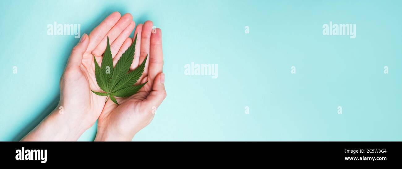 Cannabis on the palm hi-res stock photography and images - Alamy