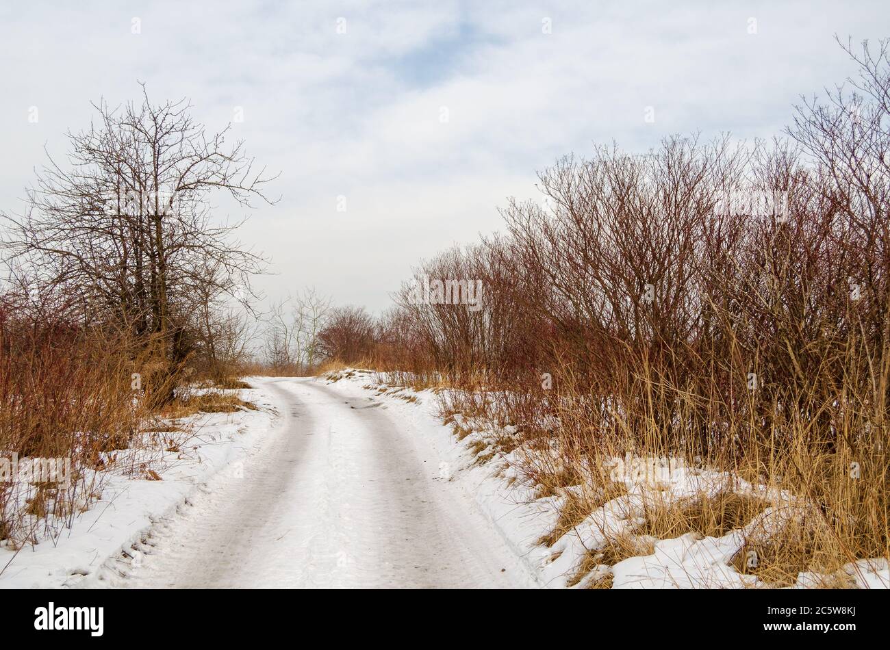 Snowland hi-res stock photography and images - Alamy