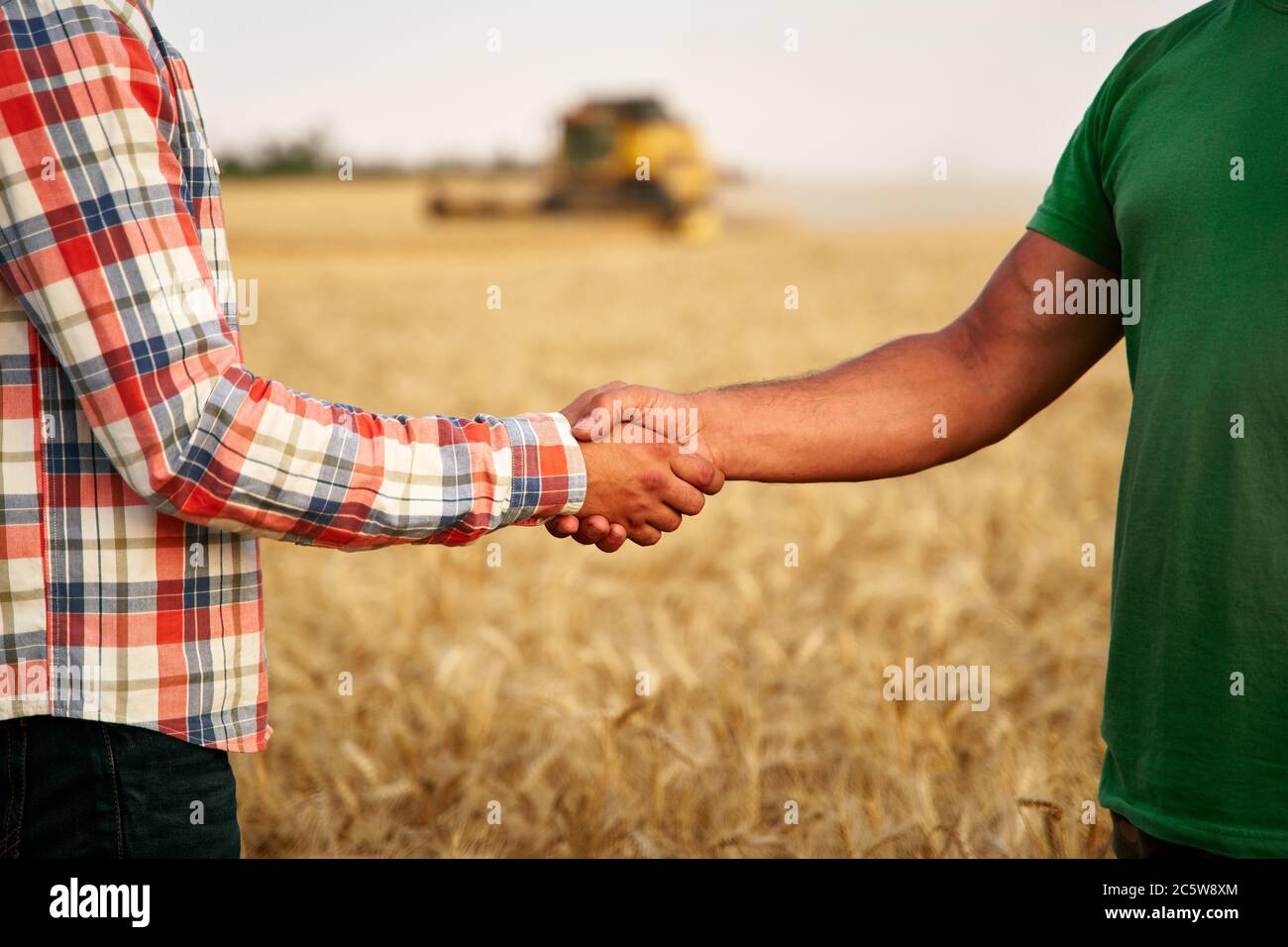 Farmer and agronomist shaking hands standing in a wheat field after ...