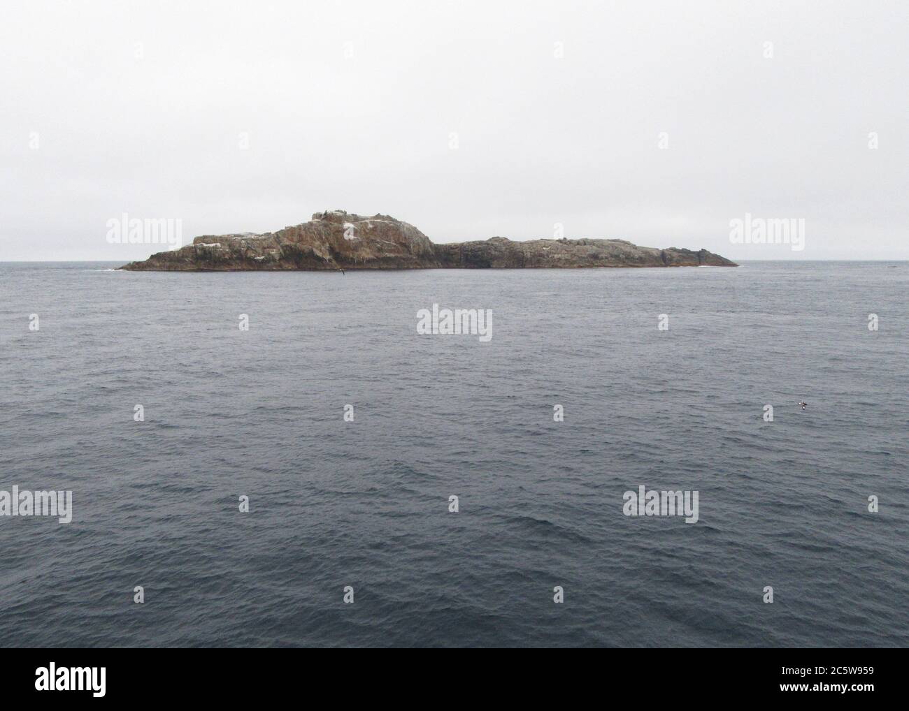 Bounty Islands, subantarctic New Zealand Stock Photo - Alamy