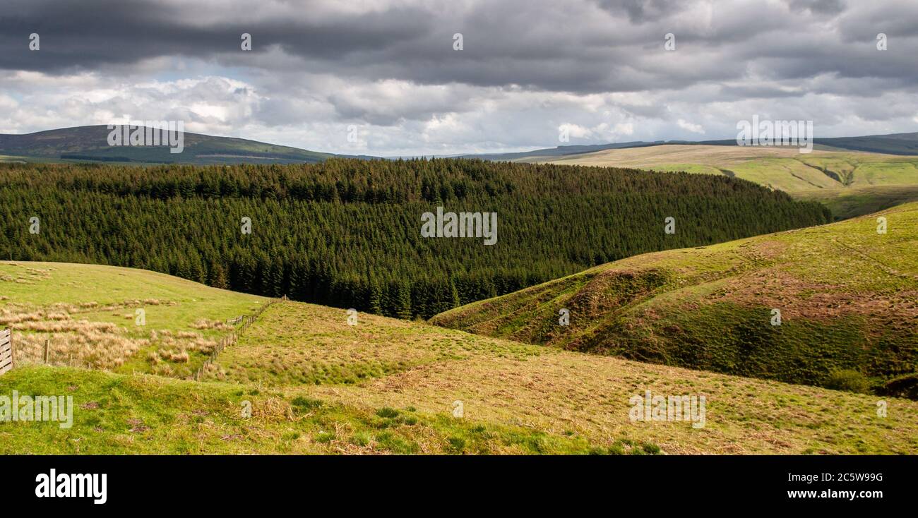 Deadwater moor hi-res stock photography and images - Alamy