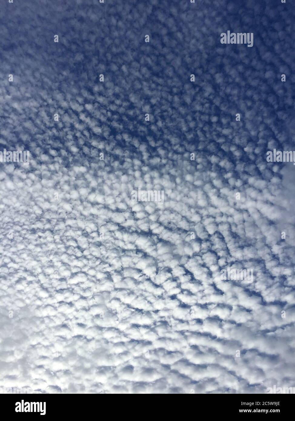 Dramatic evening sky above the Bay of Maori near Auckland, North Island ...