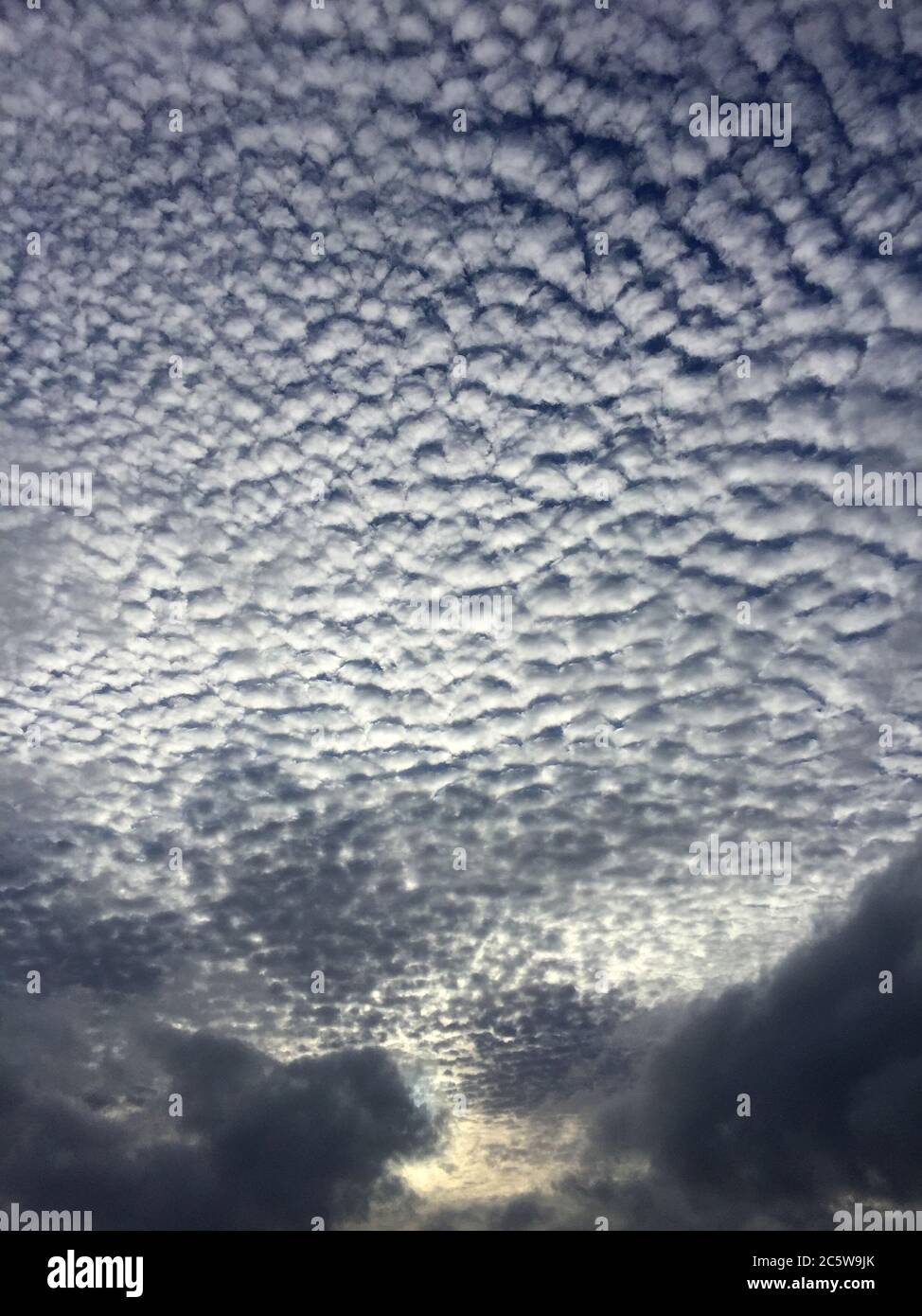 Dramatic evening sky above the Bay of Maori near Auckland, North Island ...