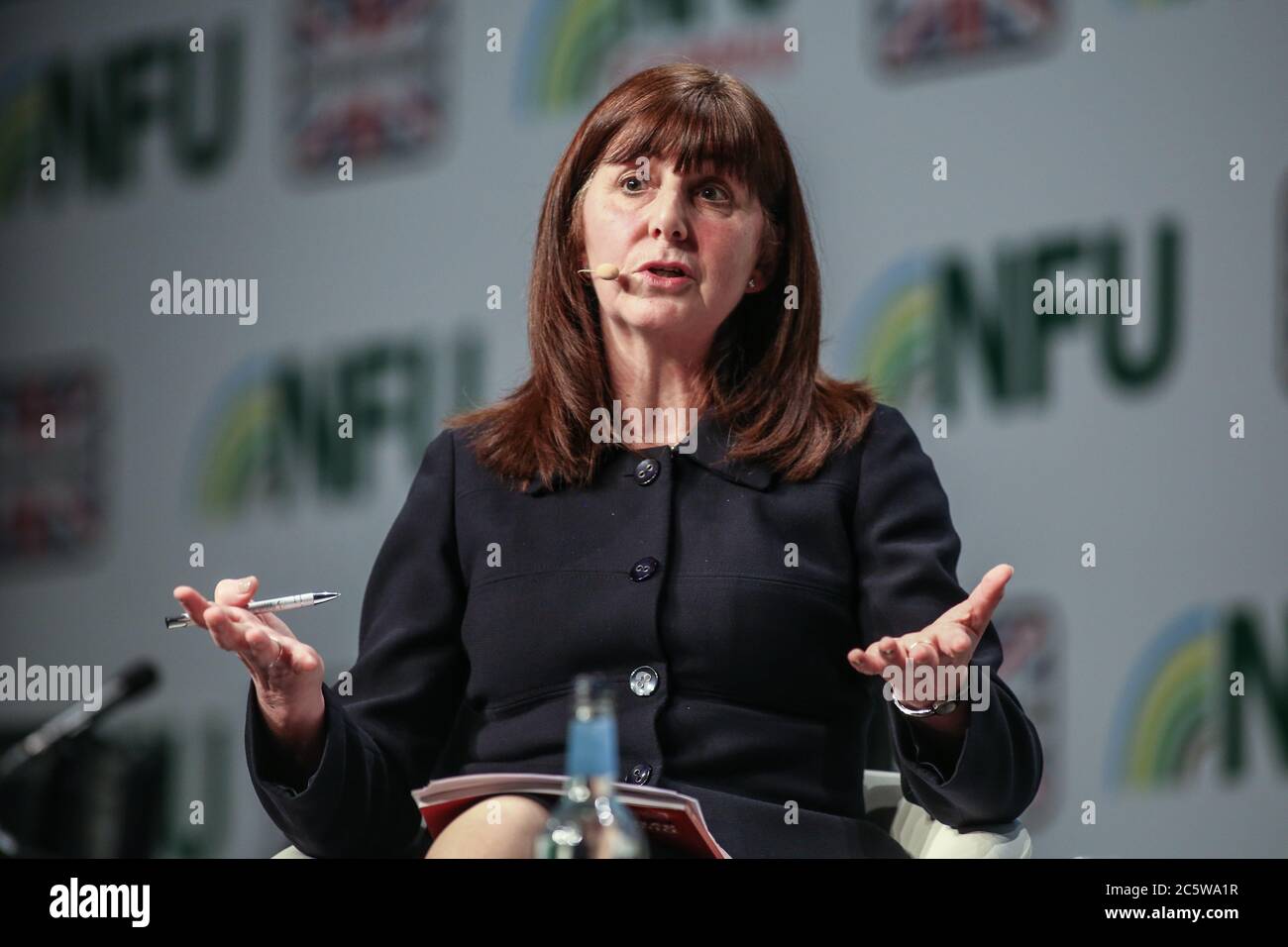 Lesley Griffiths MS for Wrexham and cabinet secretary for environment ...
