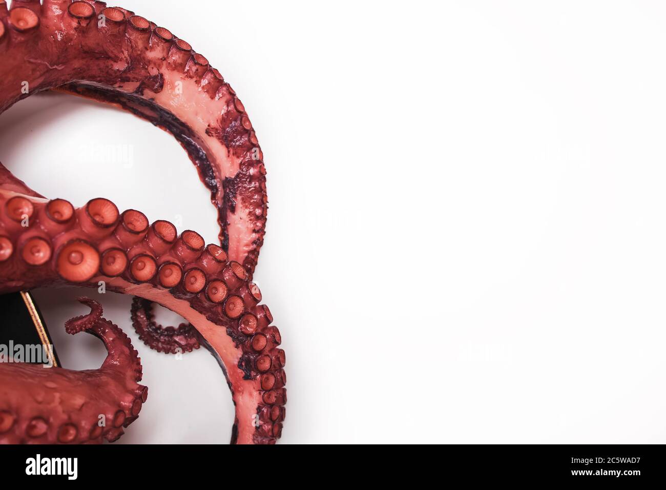Tentacles of freshly cooked octopus on white background with copy space ...