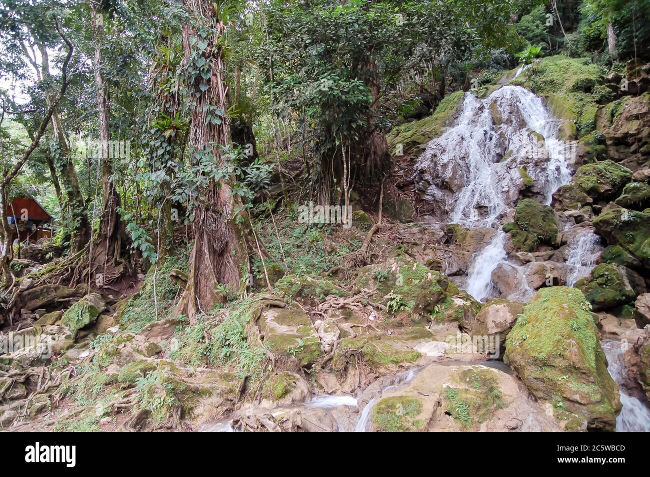 Landscape in Semuc Champey, Lanquin, Guatemala, Central America Stock ...