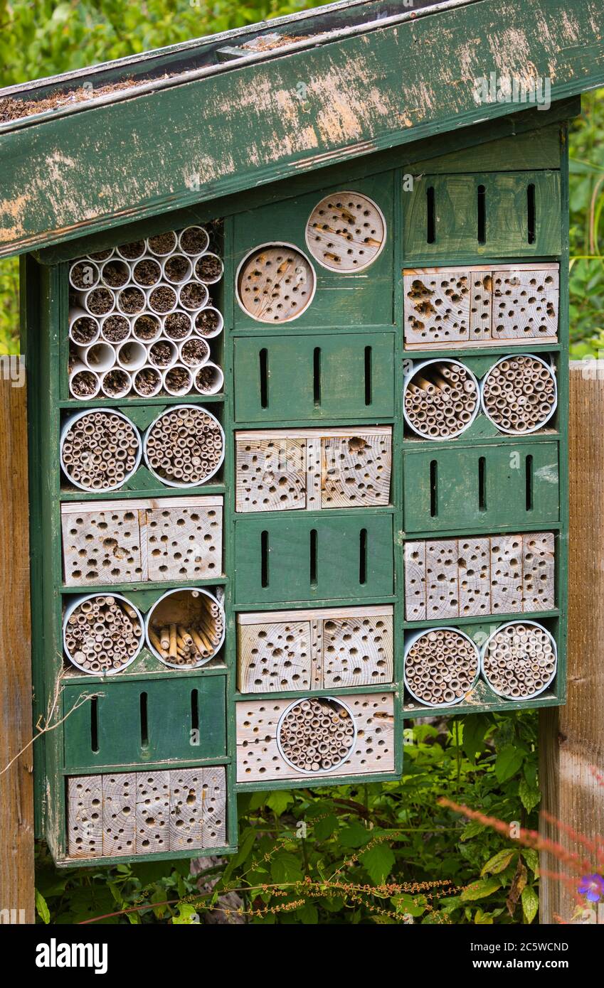Bug hotel at the Wildfowl & Wetlands Trust in Arundel. West Sussex ...