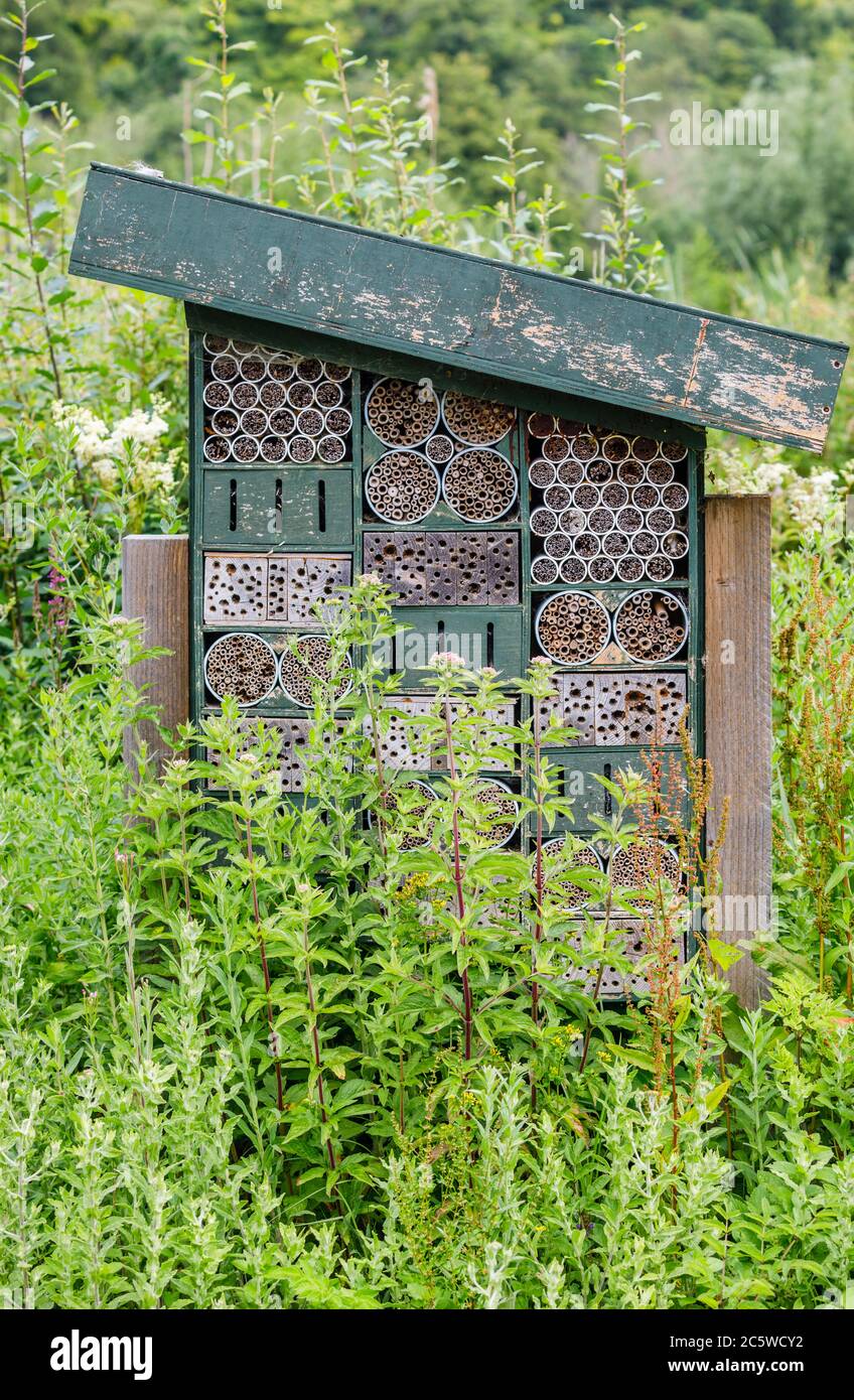 Bug hotel at the Wildfowl & Wetlands Trust in Arundel. West Sussex ...