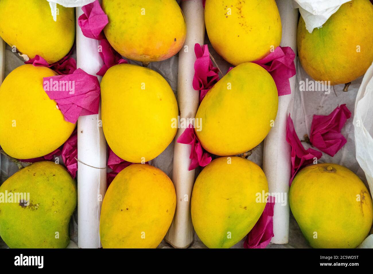 Bangladesh and brazil hi-res stock photography and images - Alamy