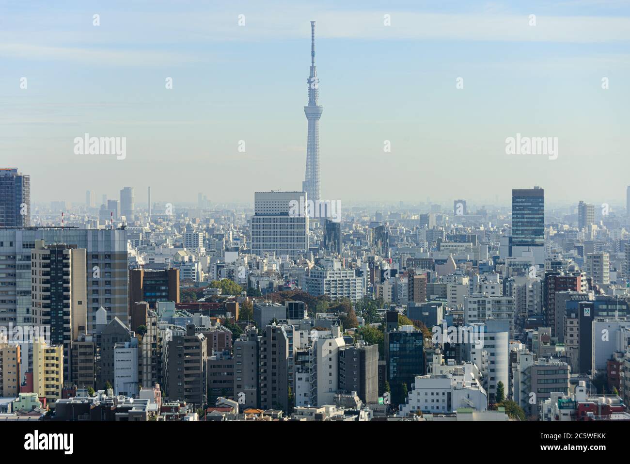 Toyko Skyline with the Skytree. Daytime with skyscraper until the end ...