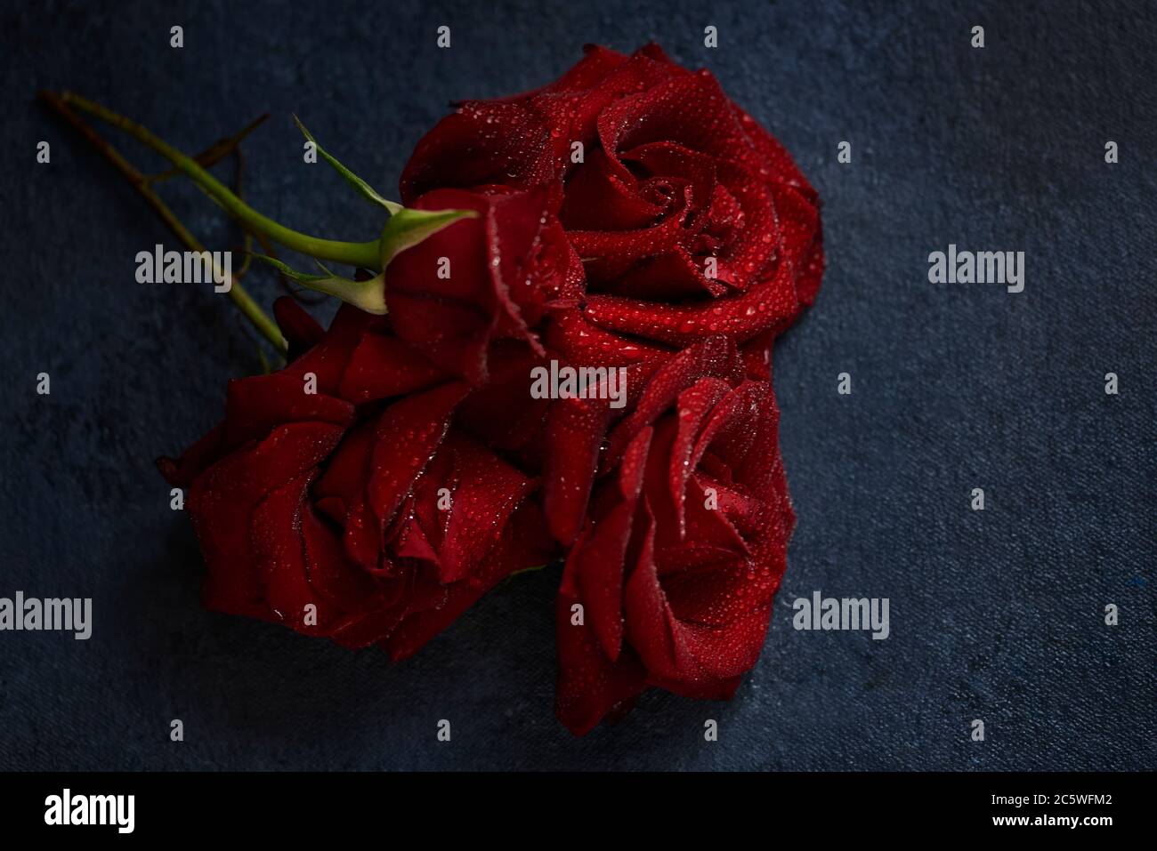 Three red rose on dark background Stock Photo - Alamy