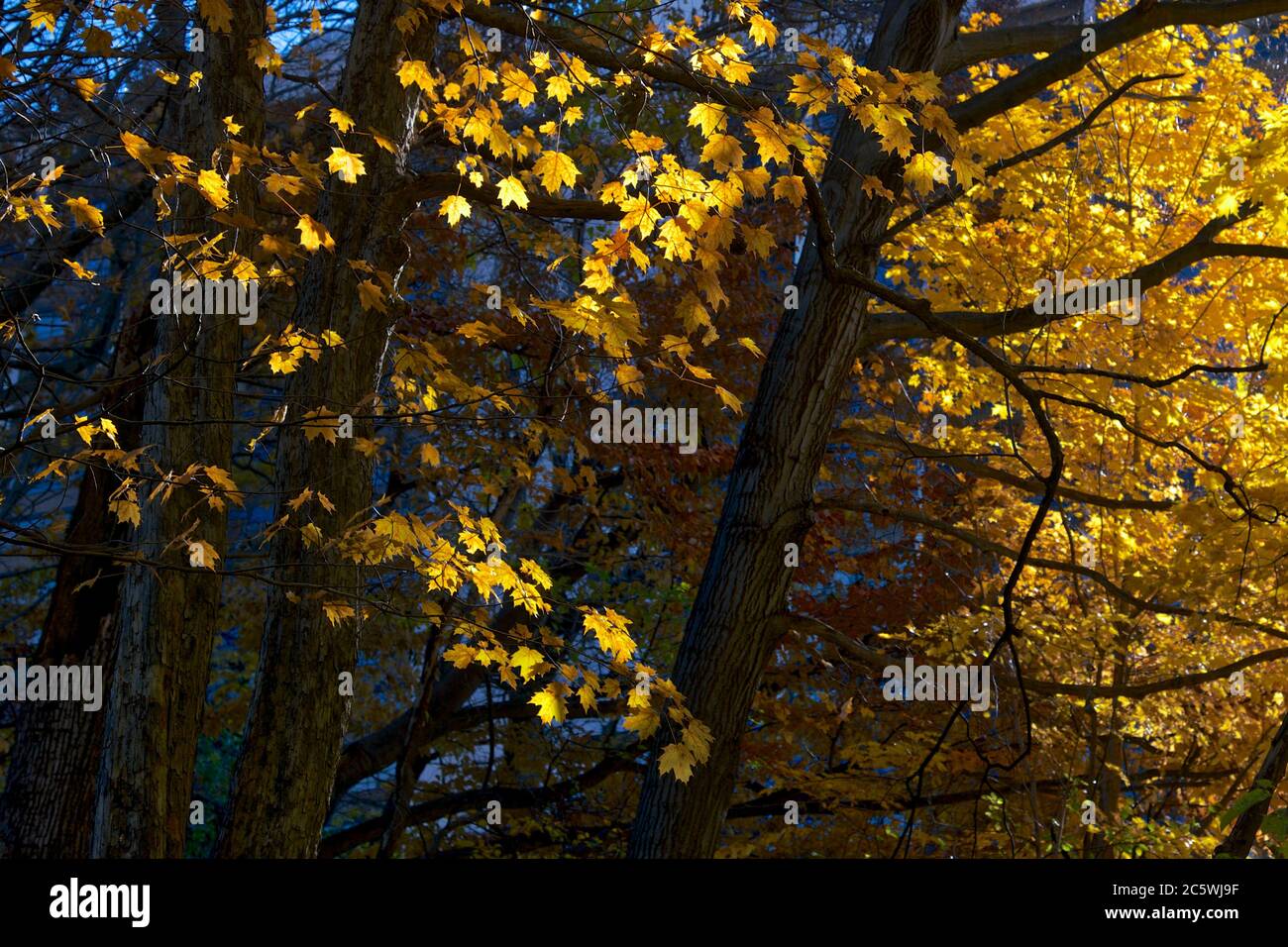 Hiking highlight hi-res stock photography and images - Alamy