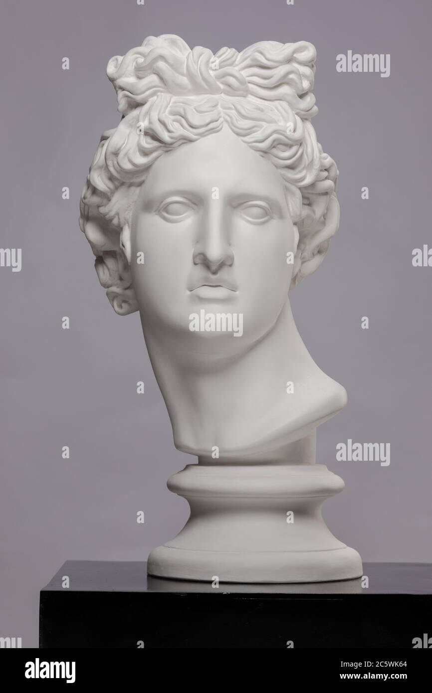 White plaster statue of a bust of Apollo Belvedere on a light gray ...
