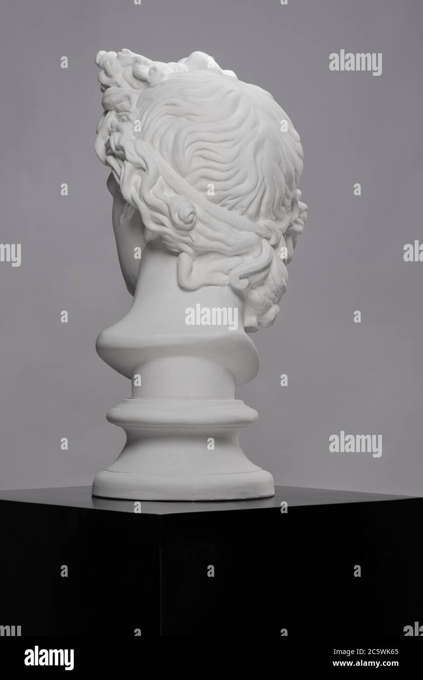 White plaster statue of a bust of Apollo Belvedere on a light gray ...