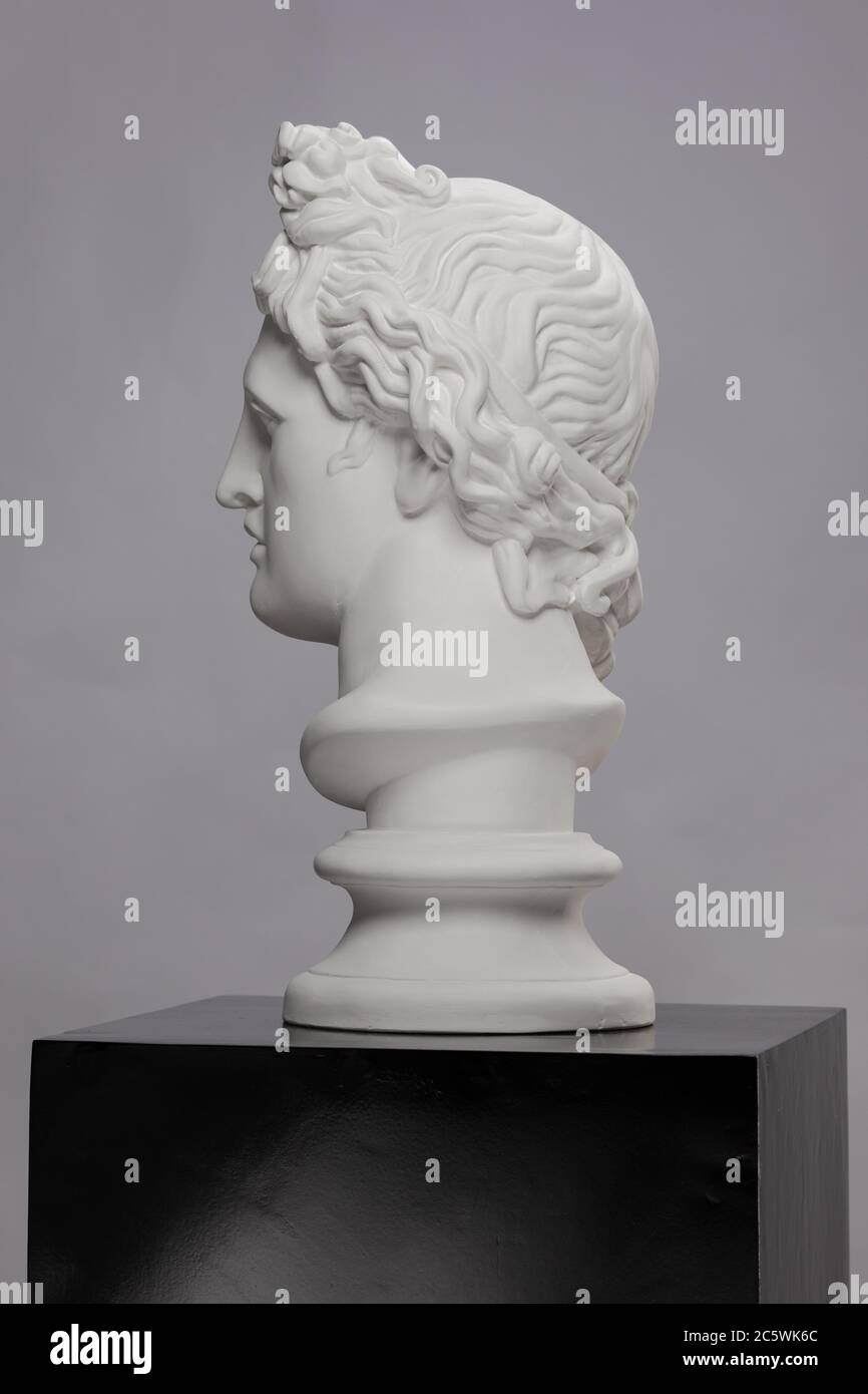 White plaster statue of a bust of Apollo Belvedere on a light gray ...