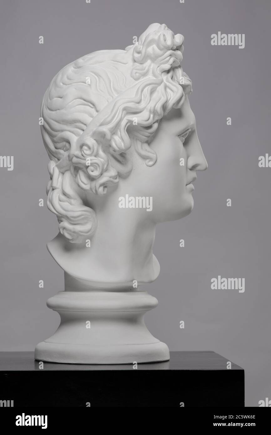 White plaster statue of a bust of Apollo Belvedere on a light gray ...