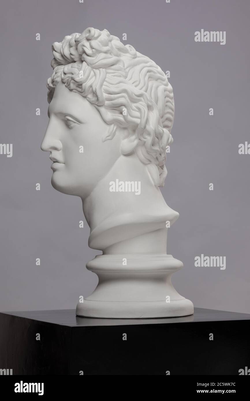 White plaster statue of a bust of Apollo Belvedere on a light gray ...