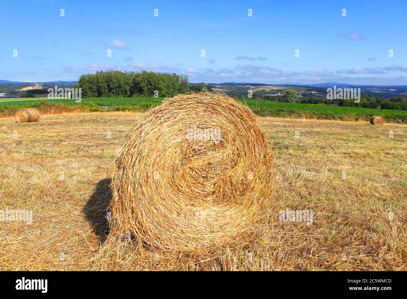 Harvest Straw Ball High Resolution Stock Photography and Images - Alamy