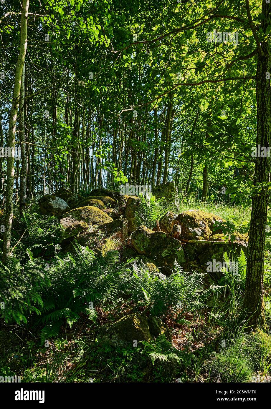 Rattvik hi-res stock photography and images - Alamy