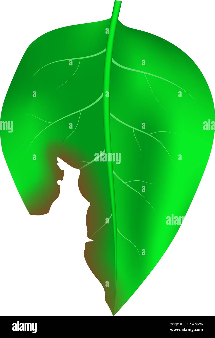 realistic vector green leaf with detailed texture and bitten mark Stock ...