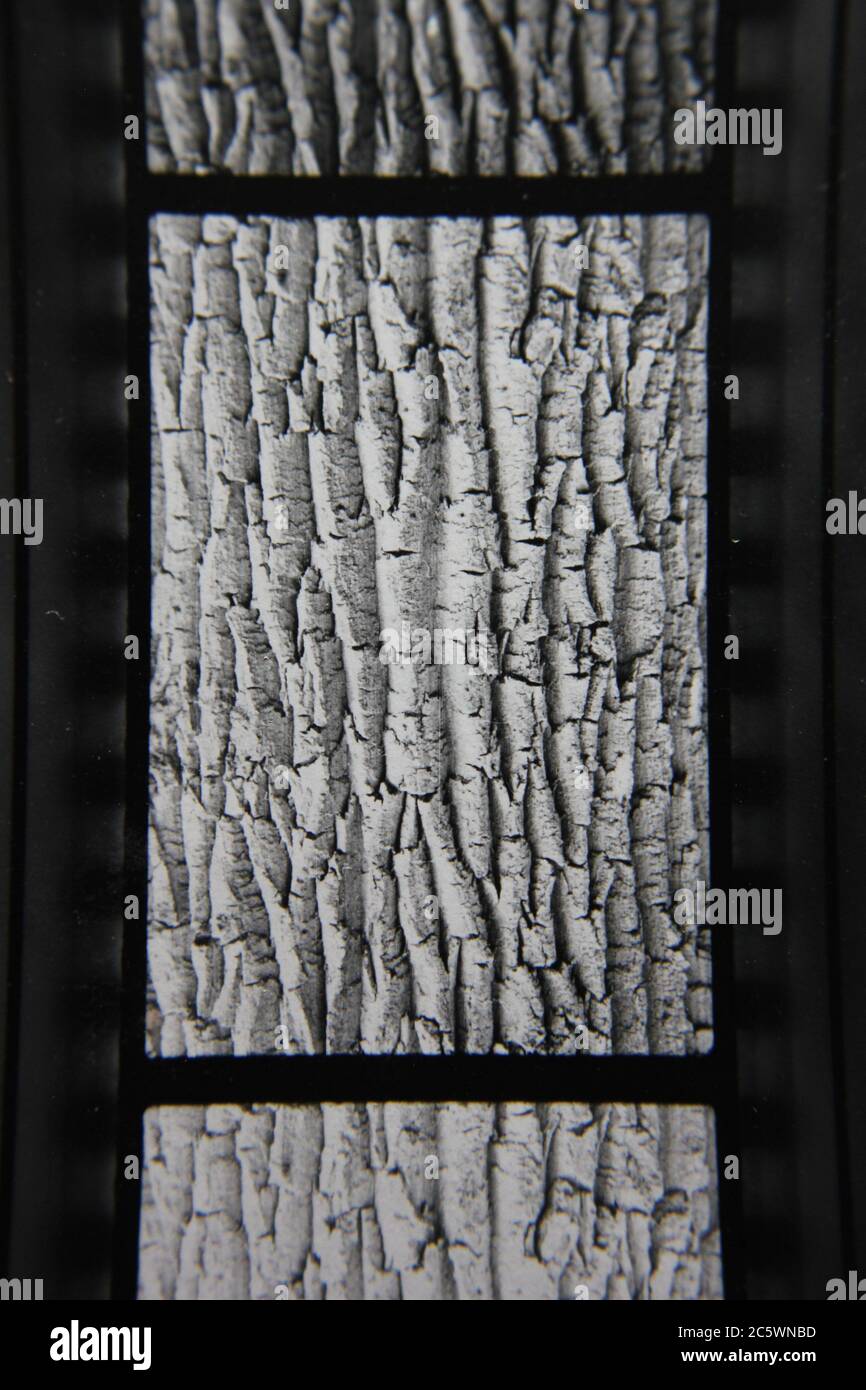 Striation texture hi-res stock photography and images - Alamy