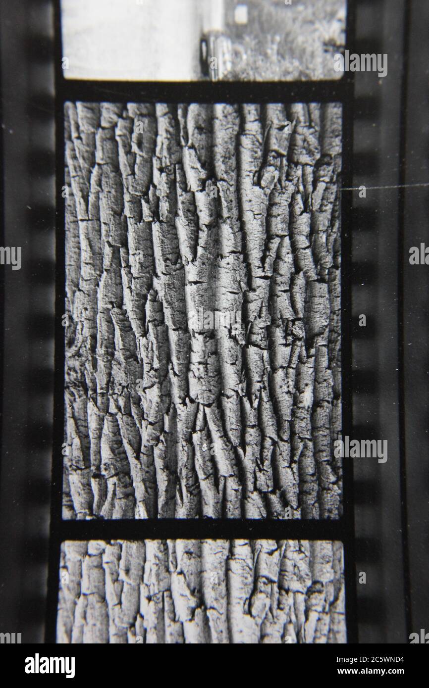 Striation texture hi-res stock photography and images - Alamy