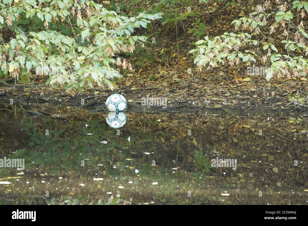 Football in a pond Stock Photo - Alamy