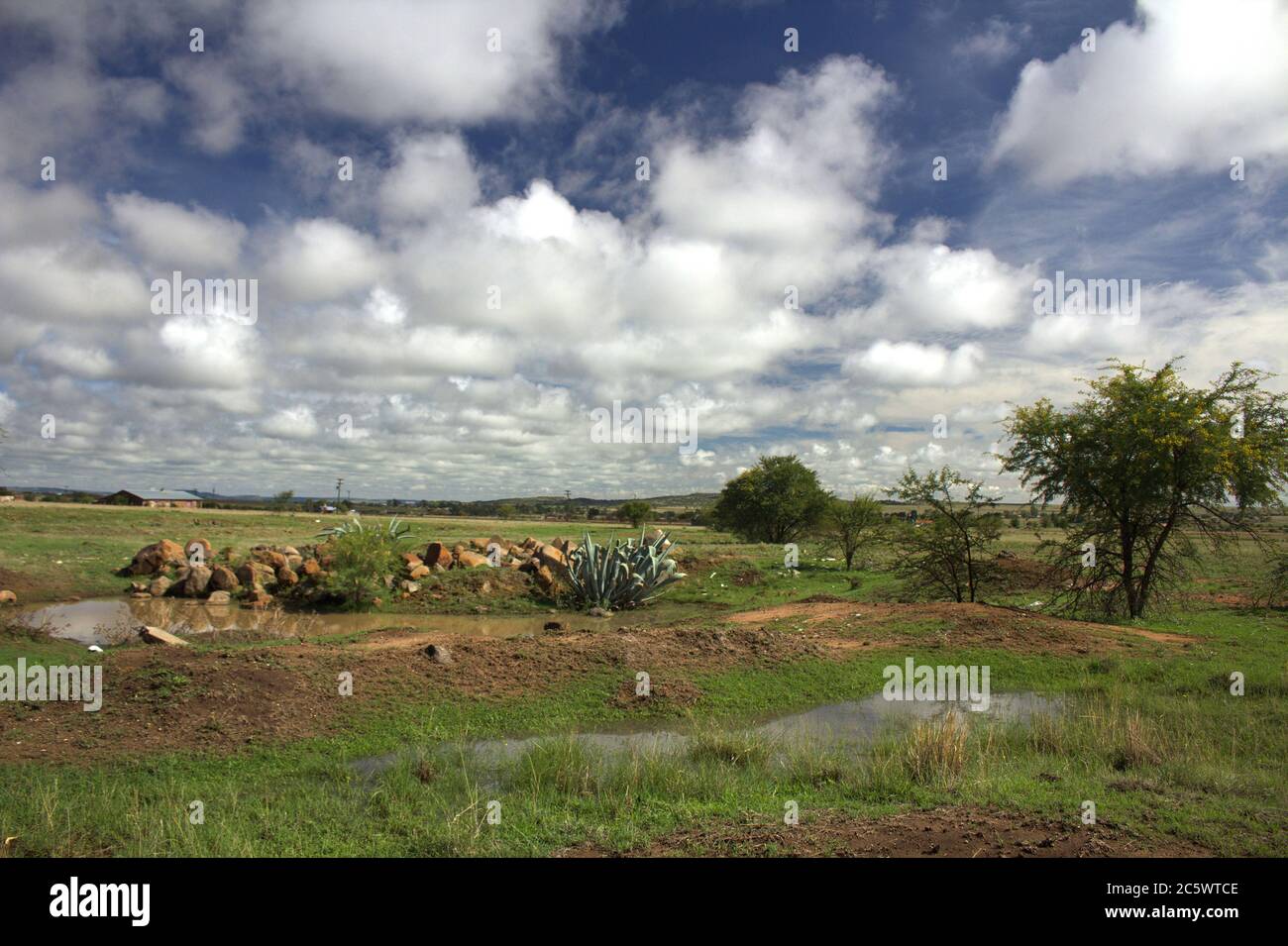 Landscape - plains of Free State province of South Africa with small ...