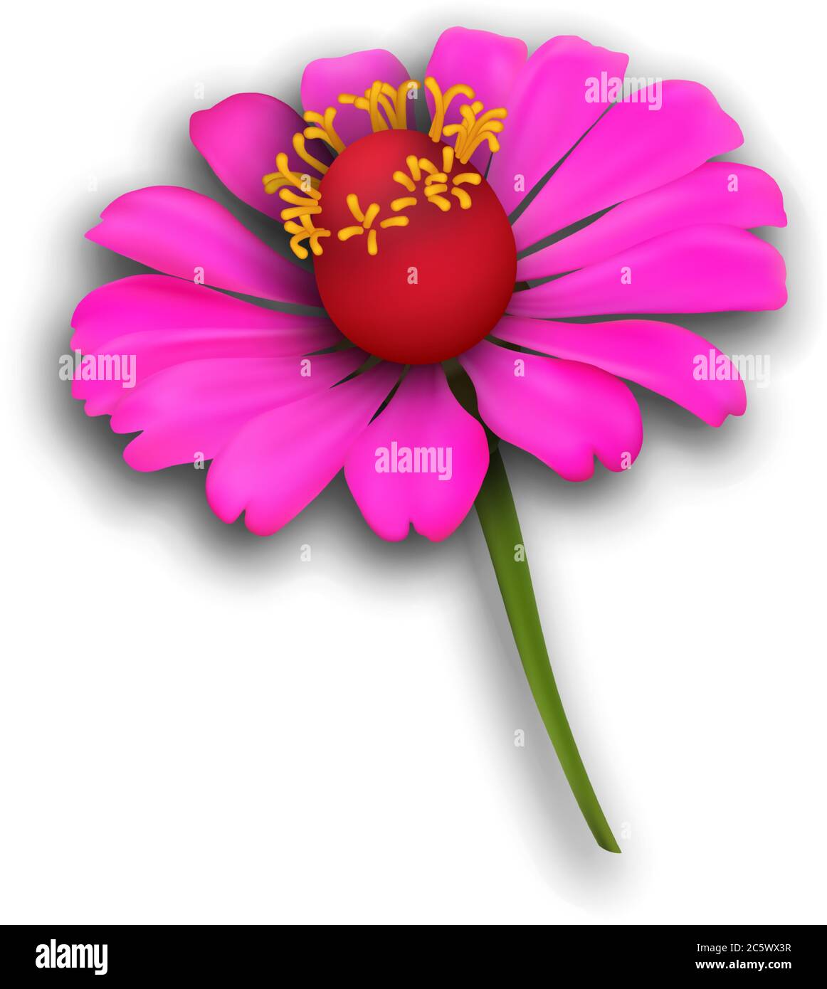 Detailed flower petals Cut Out Stock Images & Pictures - Alamy